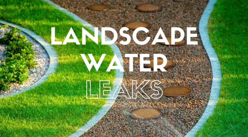 Landscape Water Leaks - LeakDtech Dubai