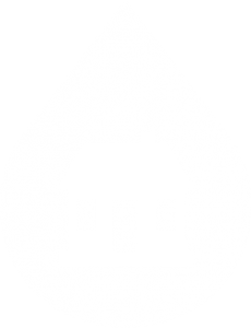 Plumbing Leak Detection Services for Your Home - LeakDtech