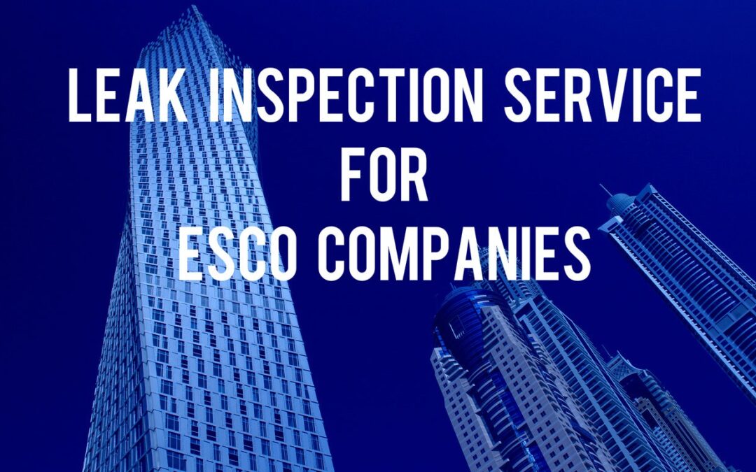 Leak Inspection Service for ESCO Companies LeakDtech Dubai | LeakDtech ...
