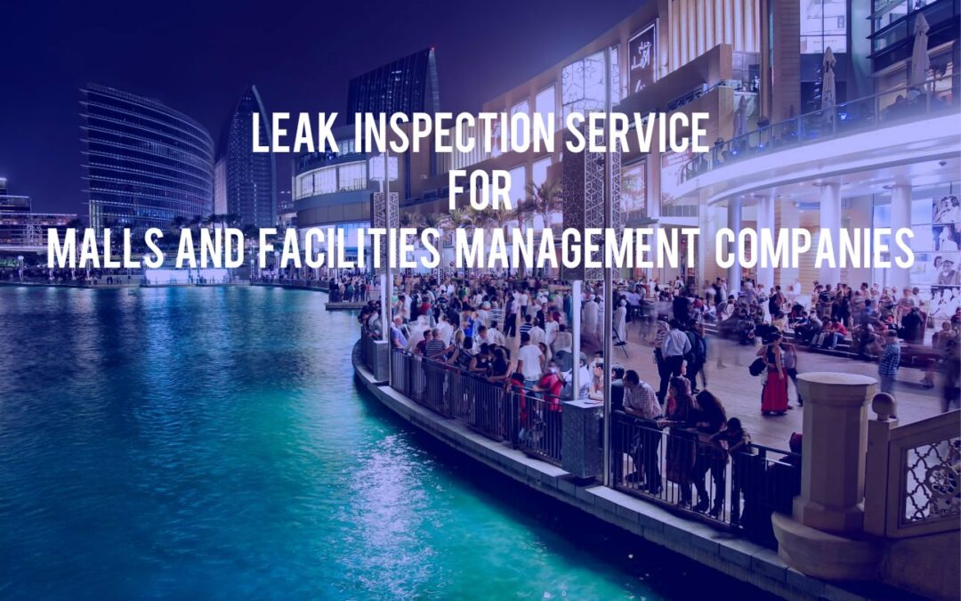 Leak Inspection Service for Malls and Facilities Management Companies ...